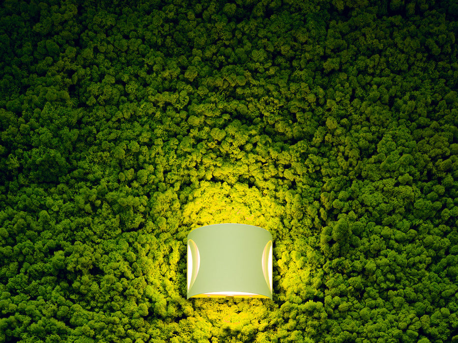 Moonlight White – Parkay Floors